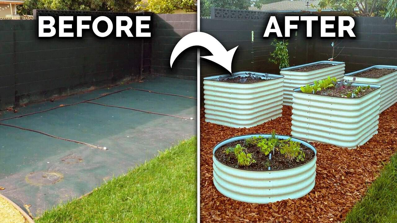 How to Start Your First Garden: A Complete Guide - TipsForSurvivalists.com