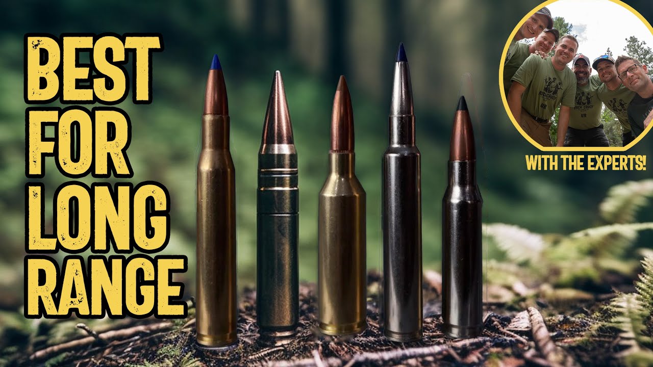 5 Best Cartridges for Long Range Shooting - TipsForSurvivalists.com