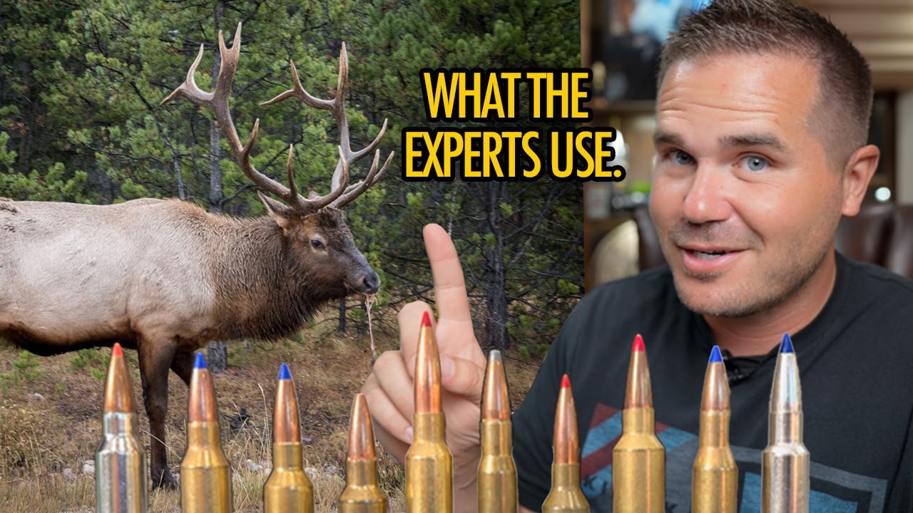 10 Best Cartridges for Elk: Voted by the experts! - TipsForSurvivalists.com