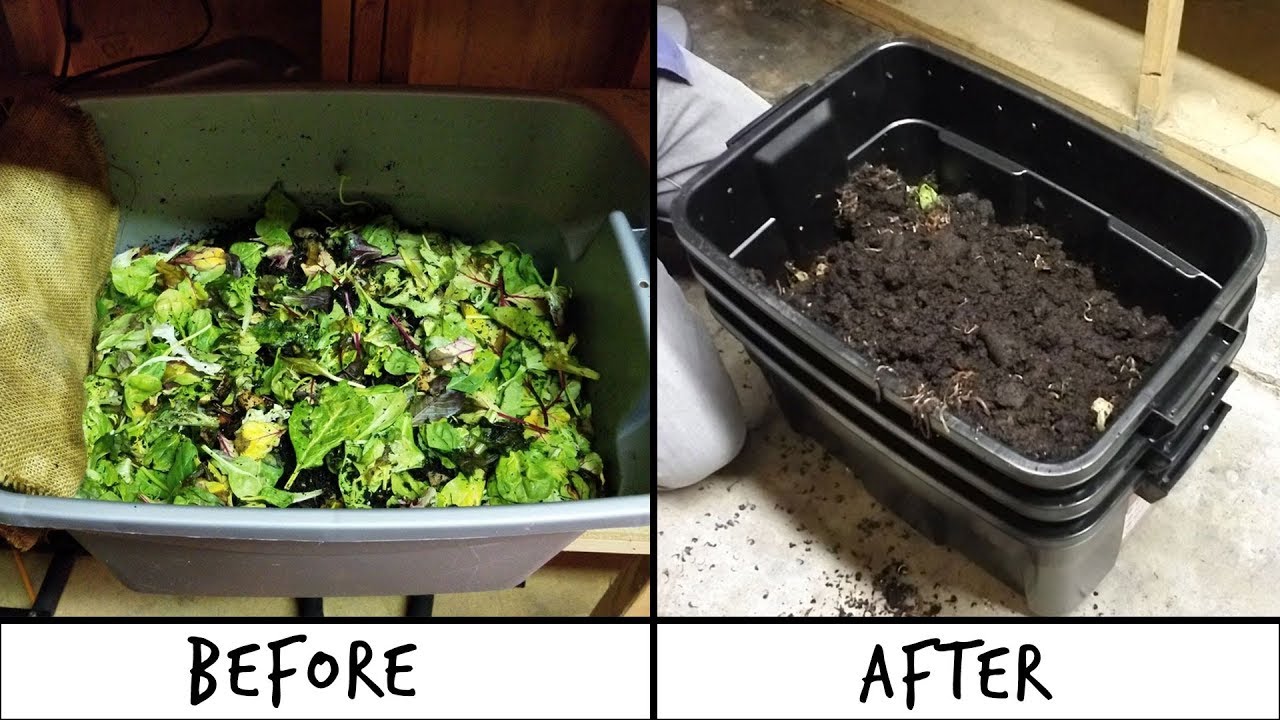 Building a Stackable DIY Worm Farm for $30 🐛 - TipsForSurvivalists.com
